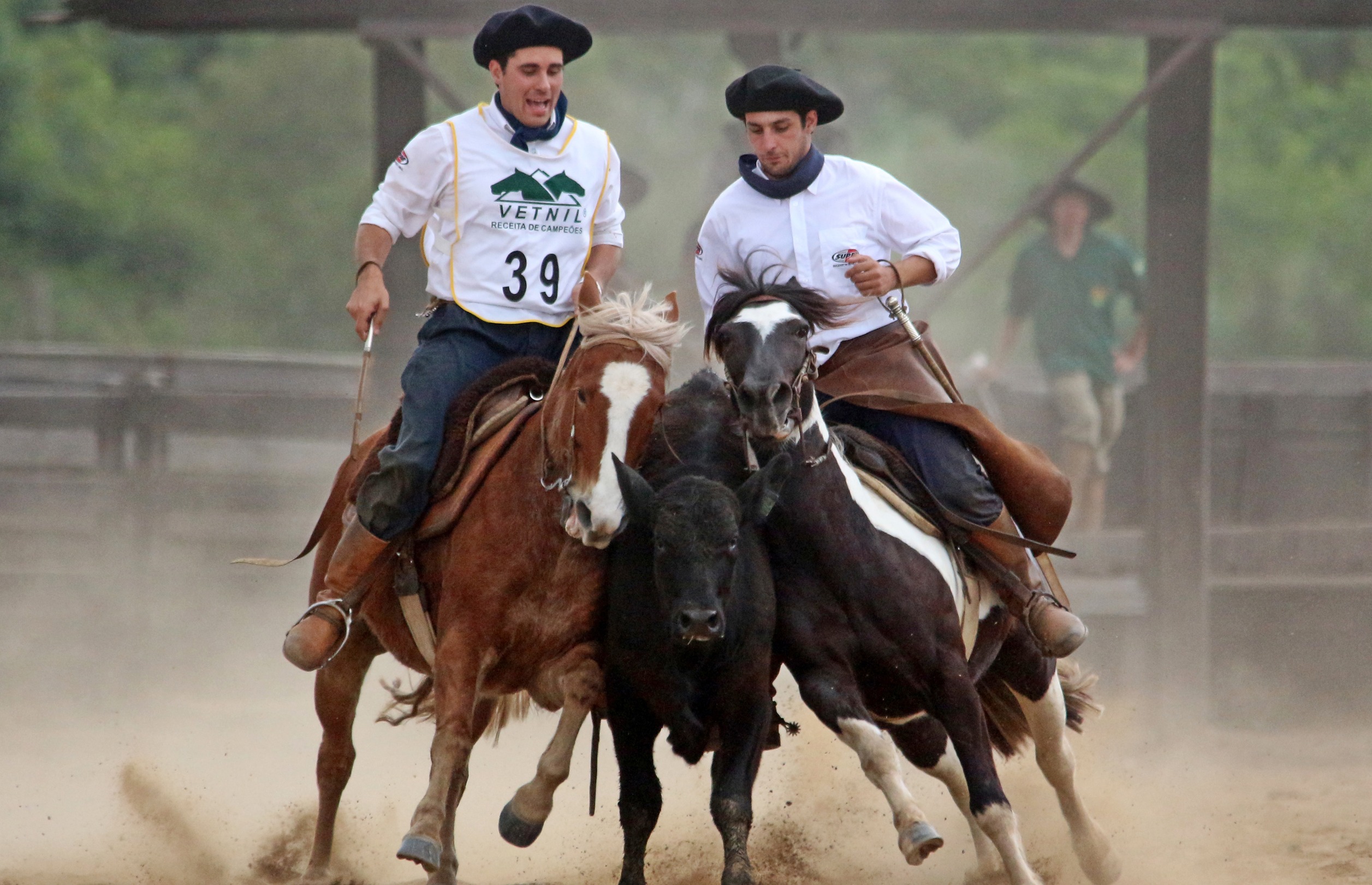 Ginete Campeão, Aluizio Perez morre em Piratini (RS) aos 24 anos ...