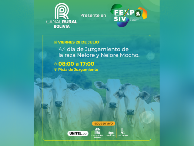 Amantes do Zebu contam os dias para a 88ª ExpoZebu em Uberaba (MG ...