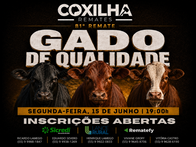 81º Remate Gado de Qualidade - Lance Rural